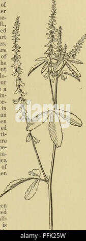 This cyclopedia provides detailed information on the cultivation of ...