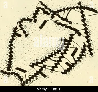 . Cytology. Cytology. Figure 5-4. Schematic Representation of ...