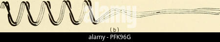 . Cytology. Cytology. Figure 5-4. Schematic Representation of ...