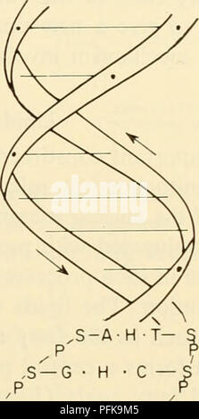 Forming DNA double helix in purple backdrop, glowing nodes, lines ...