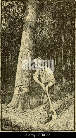 This cyclopedia provides an in-depth look at the human and animal ...