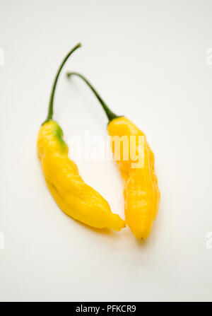 Peruvian yellow pepper ( Capsicum Baccatum ) and the purple corn (Zea ...