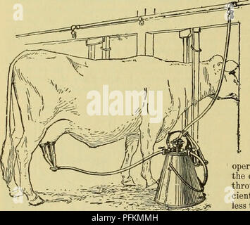 This section from the *Cyclopedia of Anatomy and Physiology* focuses on ...