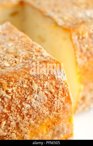 Slice of French Sable de Wissant cow's milk cheese with orange rind ...