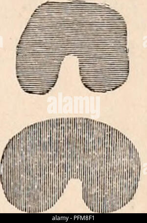 . The cyclopædia of anatomy and physiology. Anatomy; Physiology ...