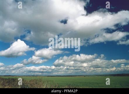 View of white Clouds on a Blue Sky Stock Photo - Alamy