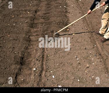 Low section of man standing on stage at concert Stock Photo - Alamy