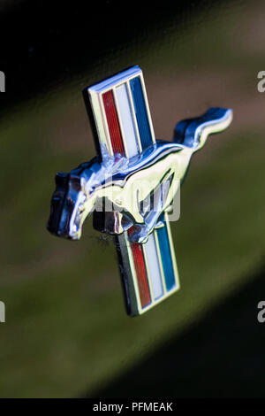 The emblem of pony car Ford Mustang (first generation). Close-up. Black ...