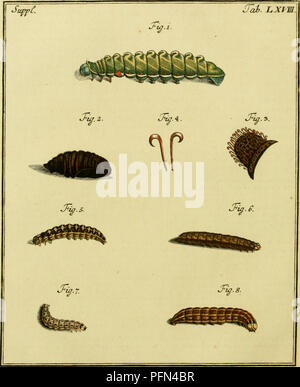 This work by August Johann Roesel von Rosenhof, published in the 18th ...