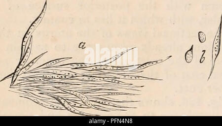 This section discusses the anatomy and physiology of the uterus ...