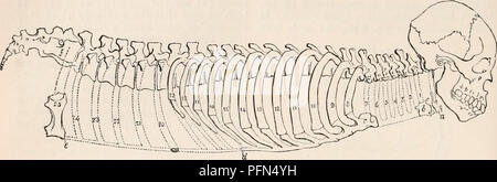 This cyclopedia offers a detailed analysis of human and animal ...