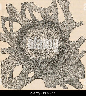 This comprehensive cyclopedia provides in-depth information on the ...