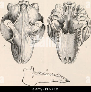 This entry in the 'Cyclopedia of Anatomy and Physiology' explores the ...