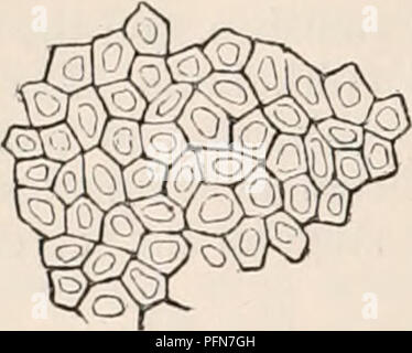 This cyclopedia provides detailed anatomical and physiological ...