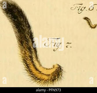 This work by August Johann Roesel von Rosenhof, published in the 18th ...