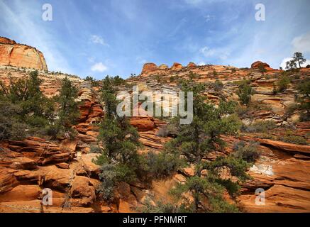 Springdale, Utah, USA. 24th Mar, 2018. A scene from Zion National Park ...