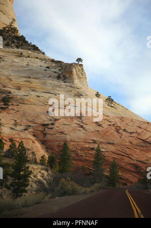 Springdale, Utah, USA. 26th Mar, 2018. A scene from Zion National Park ...