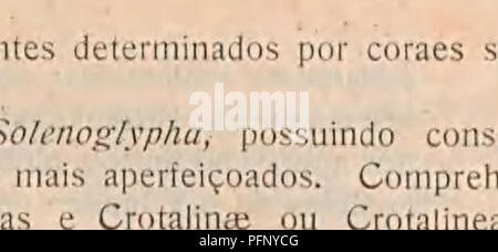 . A defesa contra o ophidismo. N." 7—Dentes de uma aglypha — Cobra nova ...
