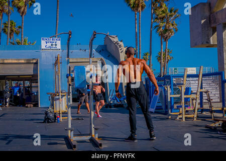 Muscle Beach is a landmark, outdoor gym dating back to the 1930's where ...