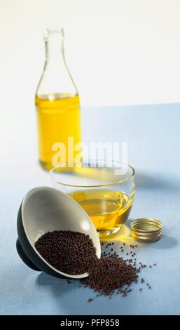 yellow mustard seeds in glass bowl isolated on white background Stock ...