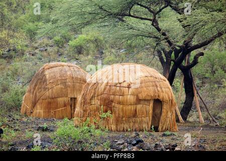 Hut in Kenya made from cow dung and wood Stock Photo - Alamy