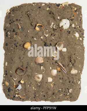 Vertical shot of a shore covered in rocks surrounded by the sea under ...