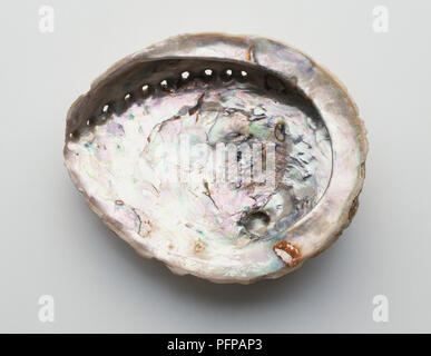Iridescent Abalone Shell Interior Stock Photo - Alamy