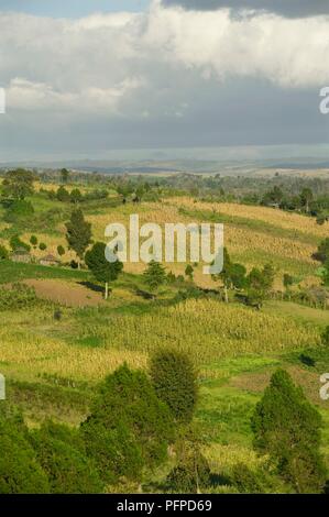 Kenya, Rift Valley, Mau Escarpment, farmland between Narok and Nakuru ...