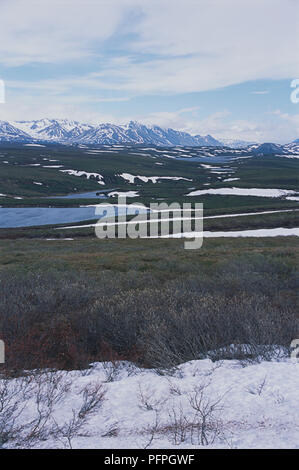 Denali Highway, Alaska Stock Photo - Alamy