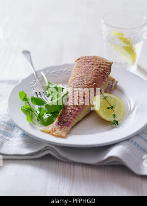 Fried fish red mullet Stock Photo - Alamy
