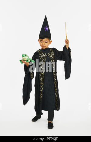 Wizard with a magic wand and a Toad Stock Photo - Alamy