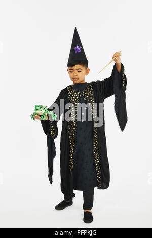 Wizard with a magic wand and a Toad Stock Photo - Alamy