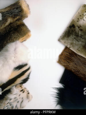 Brown Cat Fur Stock Photo - Alamy