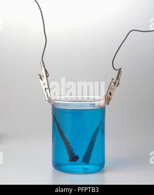 Glass beaker containing copper strips connected to electrodes in copper ...