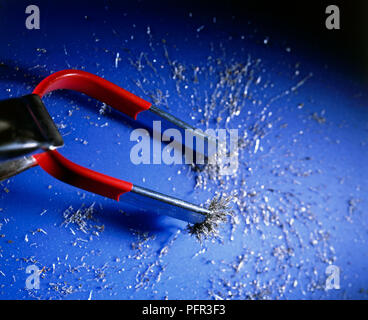 Magnet attracting metal files Stock Photo - Alamy