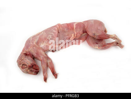 Raw skinned whole rabbit Stock Photo - Alamy