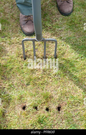 AERATING LAWN. Using a garden fork to make holes in lawn to reduce ...