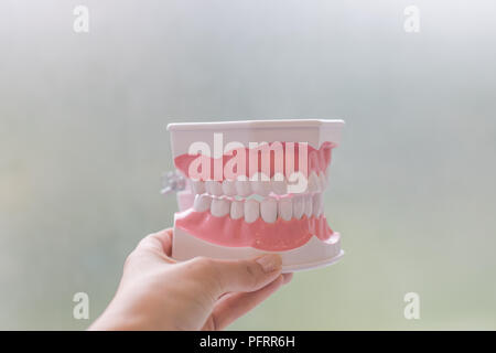 Plastic human teeth models isolated on white Stock Photo - Alamy