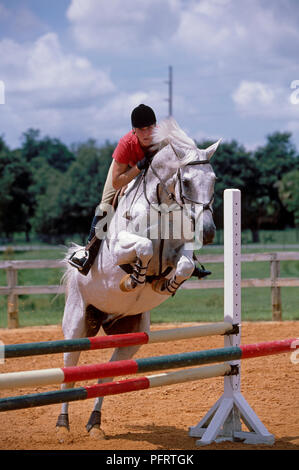 Young adult woman over grey grunge wall wearing fashion business outfit ...