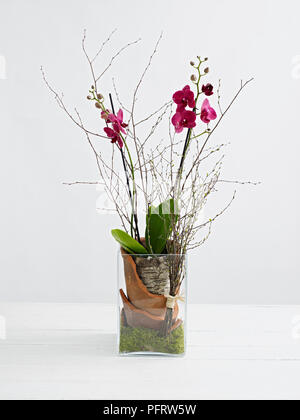 Orchid tank flower arrangement Stock Photo - Alamy