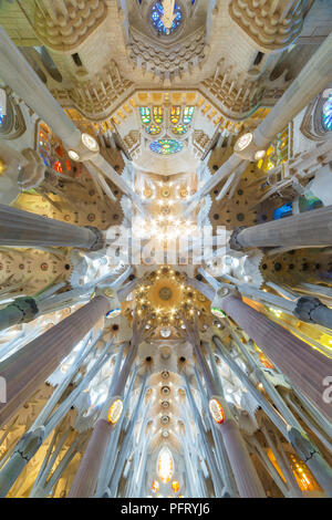 The columns of the inside of the Sagrada Familia, designed by Gaudí, in ...