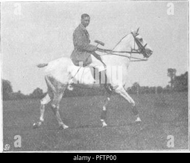 A detailed treatise on horse conformation, breed characteristics ...