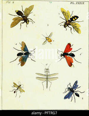 This work features over 240 illustrations of exotic insects ...
