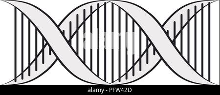 vertical dna chain science monochrome Stock Vector Image & Art - Alamy