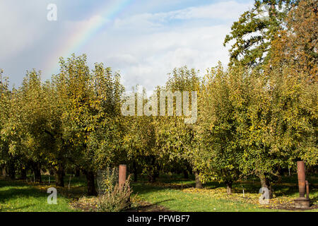 A smudge pot (also known as a choofa or orchard heater) is an oil ...