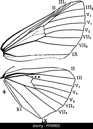 This entomological manual provides detailed information on the life ...