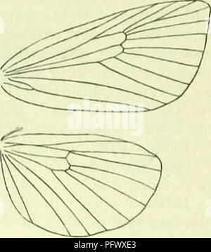 This comprehensive guide covers the British lepidoptera, detailing the ...