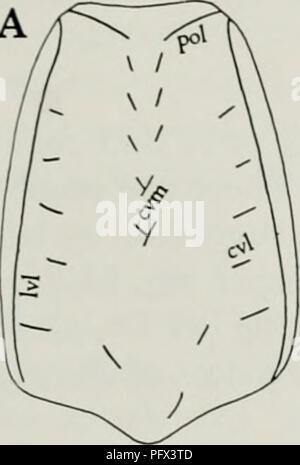 . The Cyathaspididae; a family of Silurian and Devonian jawless ...