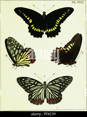 Dru Drury's 'Illustrations of Natural History' showcases over 240 ...