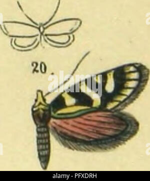 This work by Sigmund von Praun provides illustrations and descriptions ...